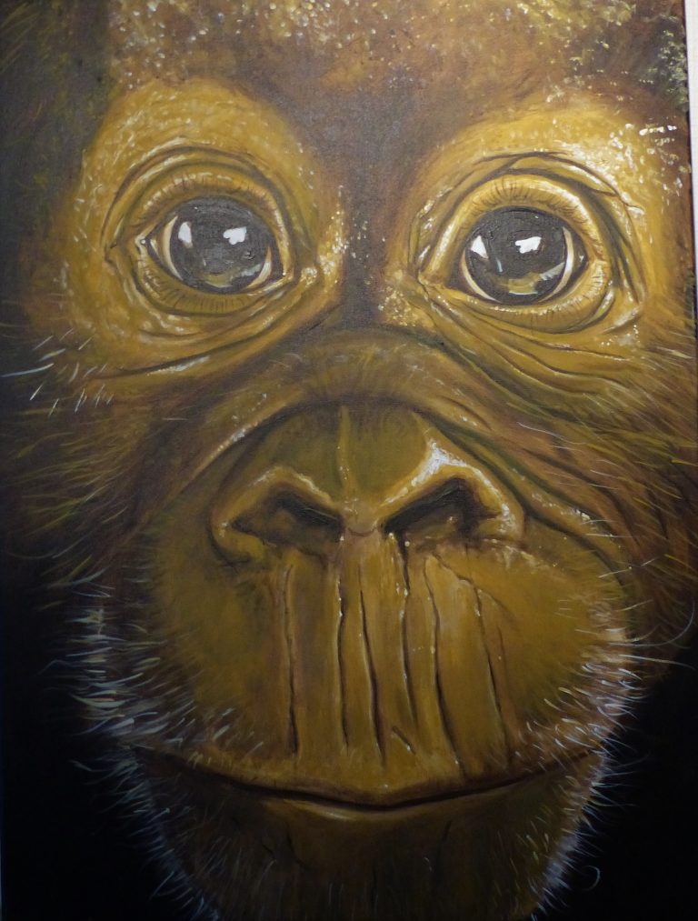 Affenportraits im Glörtal – Daniel Akiva stellt aus