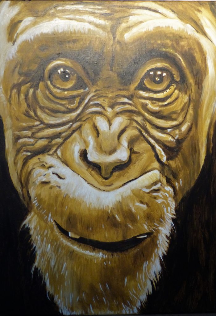 Affenportraits im Glörtal – Daniel Akiva stellt aus